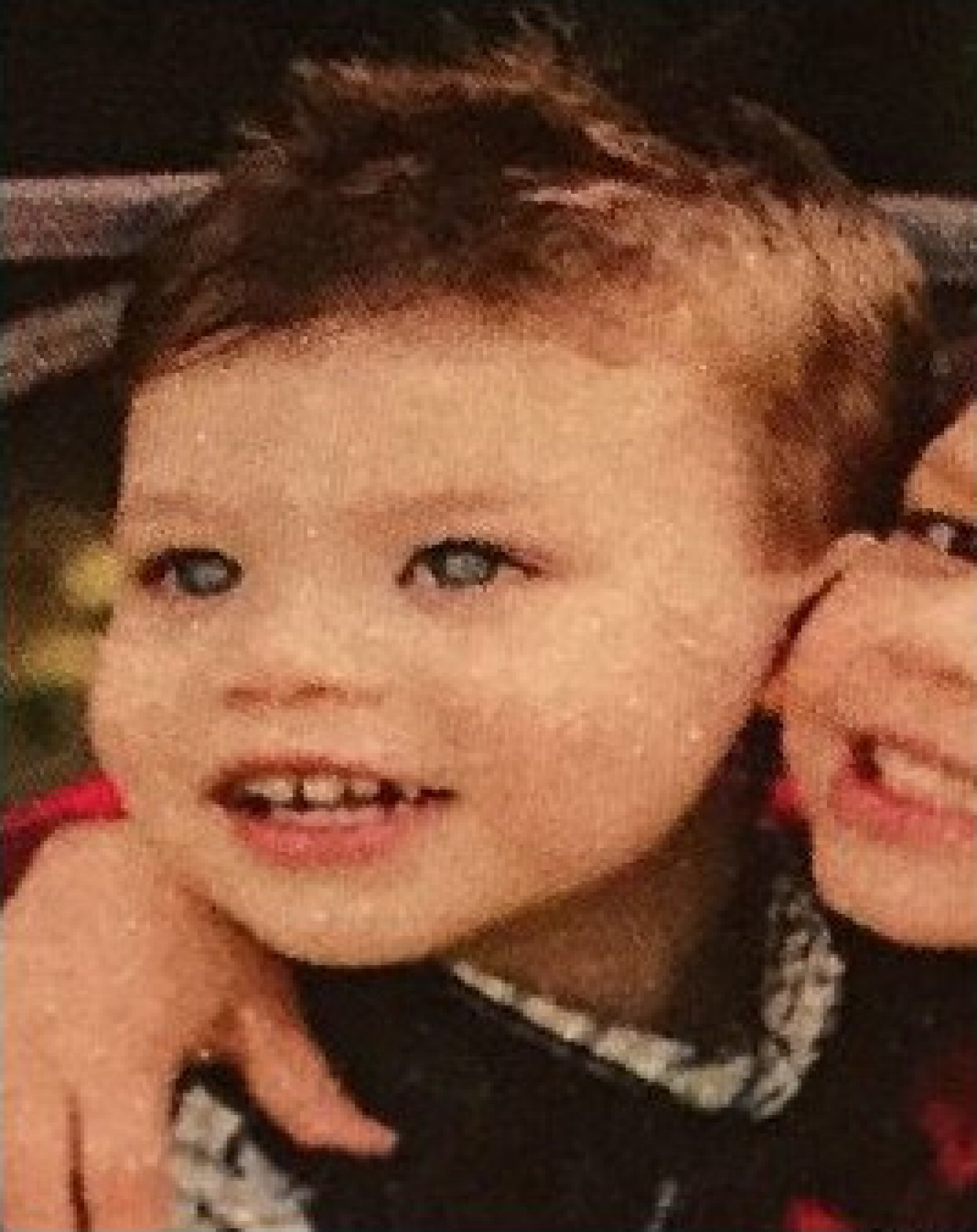 Pojke hittad död efter alligatorattack | Fria Tider